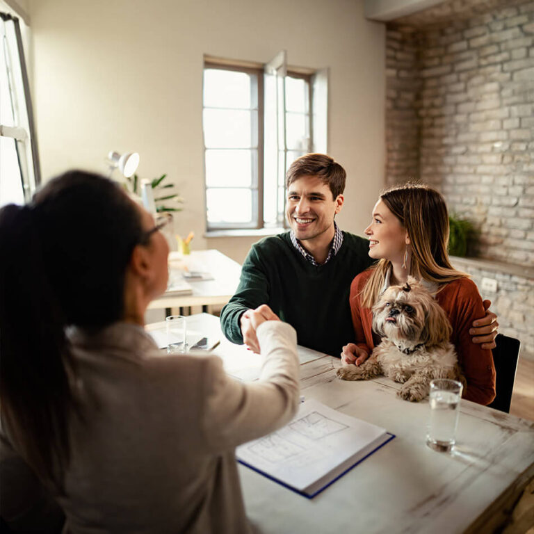 Vet bookkeeping